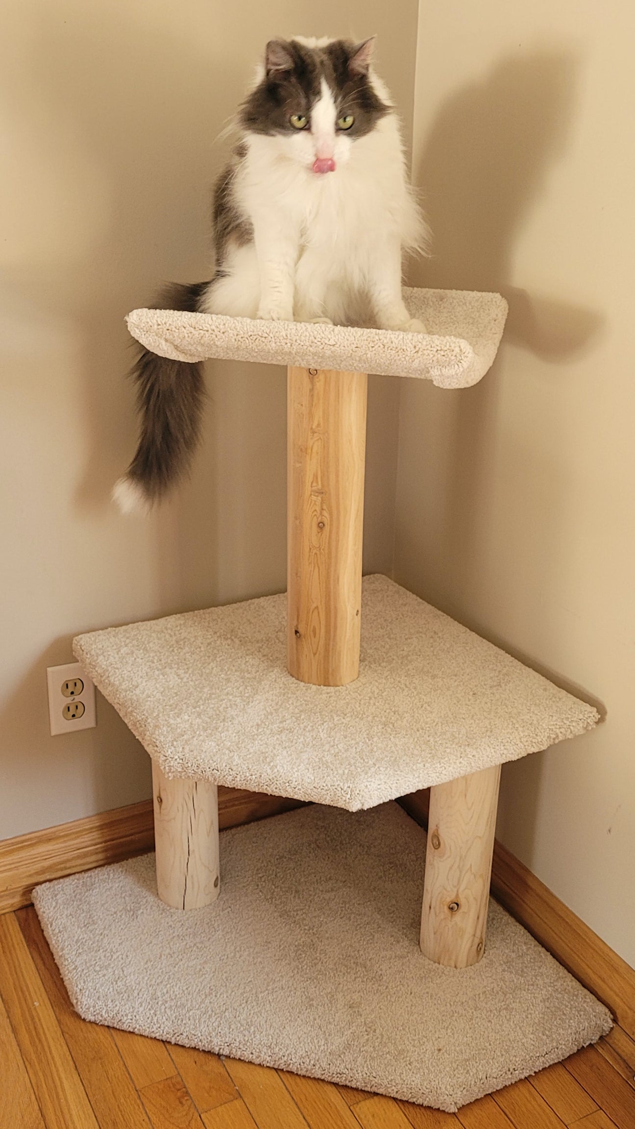 Cat Tree Model 2 – Black Diamond Cat Trees